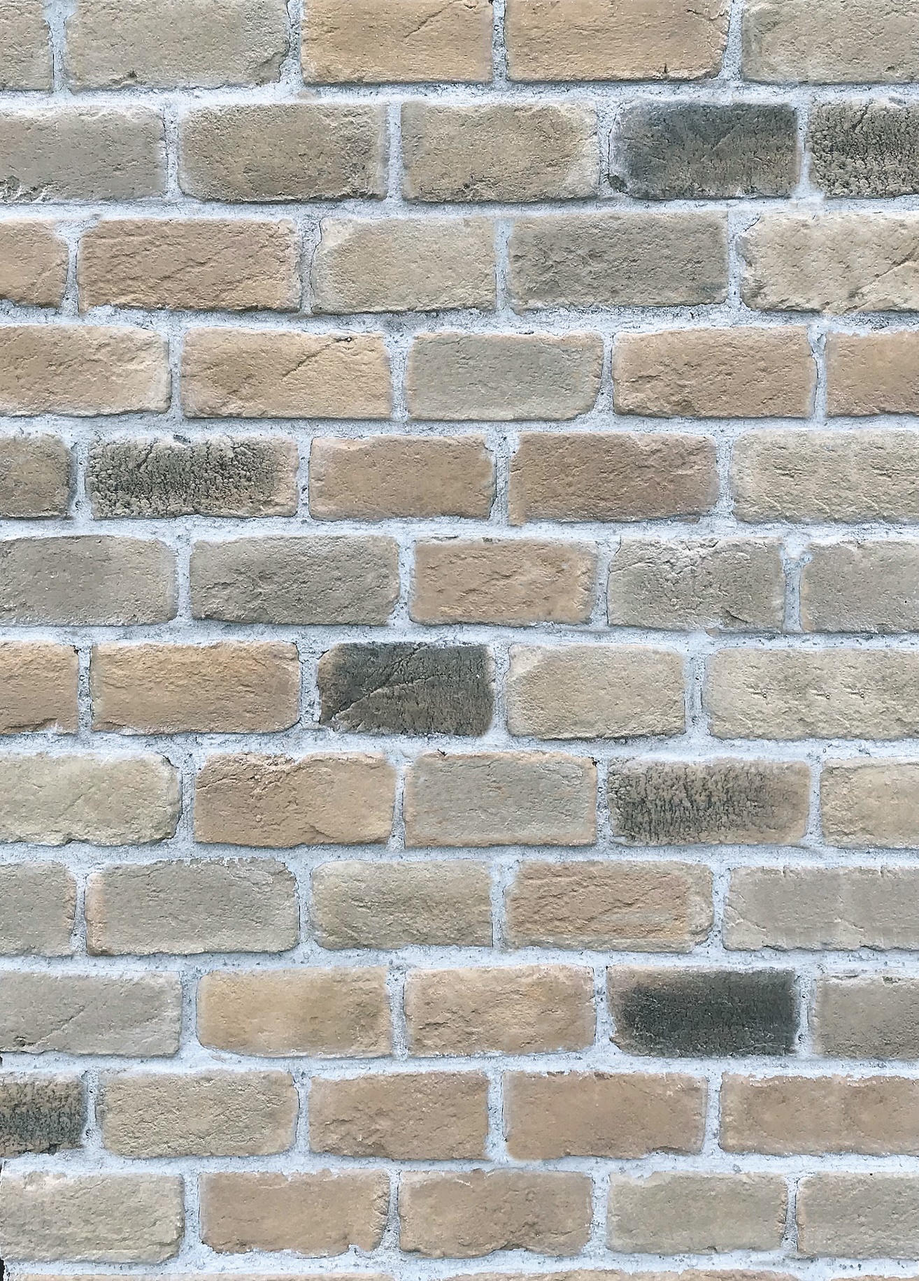Catalogue - Brick veneer - Castle brick | Wild Stone