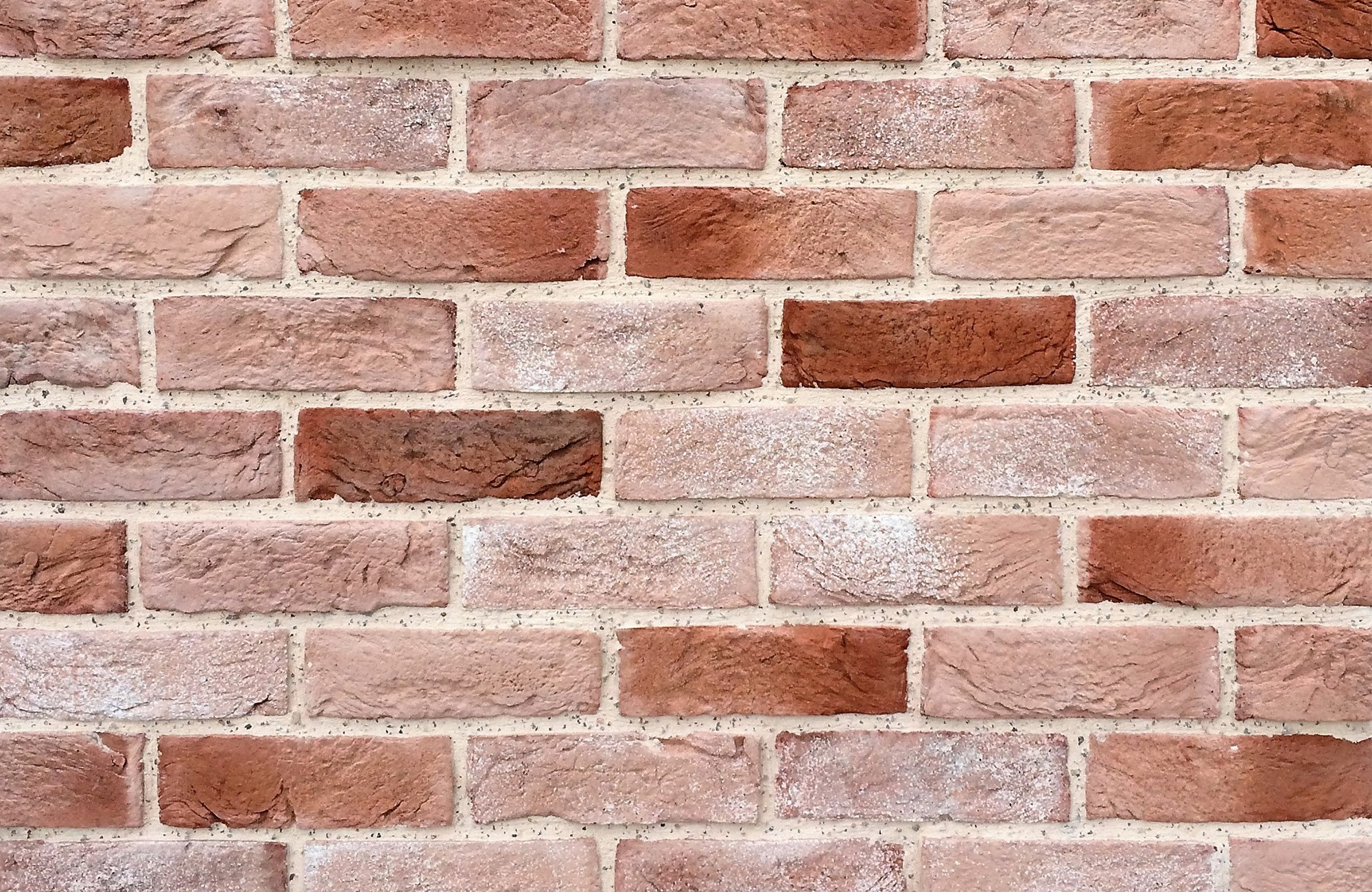Catalogue - Brick veneer - Holland brick | Wild Stone